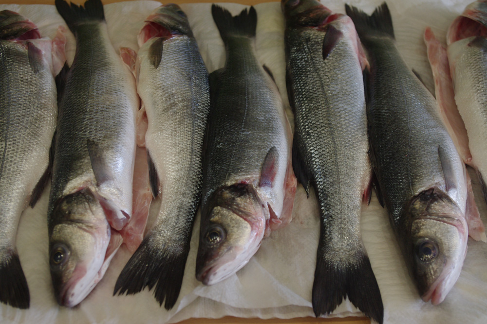 Whole Roasted Sea Bass / Cijeli pečeni brancini – Crunch Crunch Away