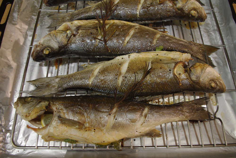 Whole Roasted Sea Bass / Cijeli pečeni brancini – Crunch Crunch Away